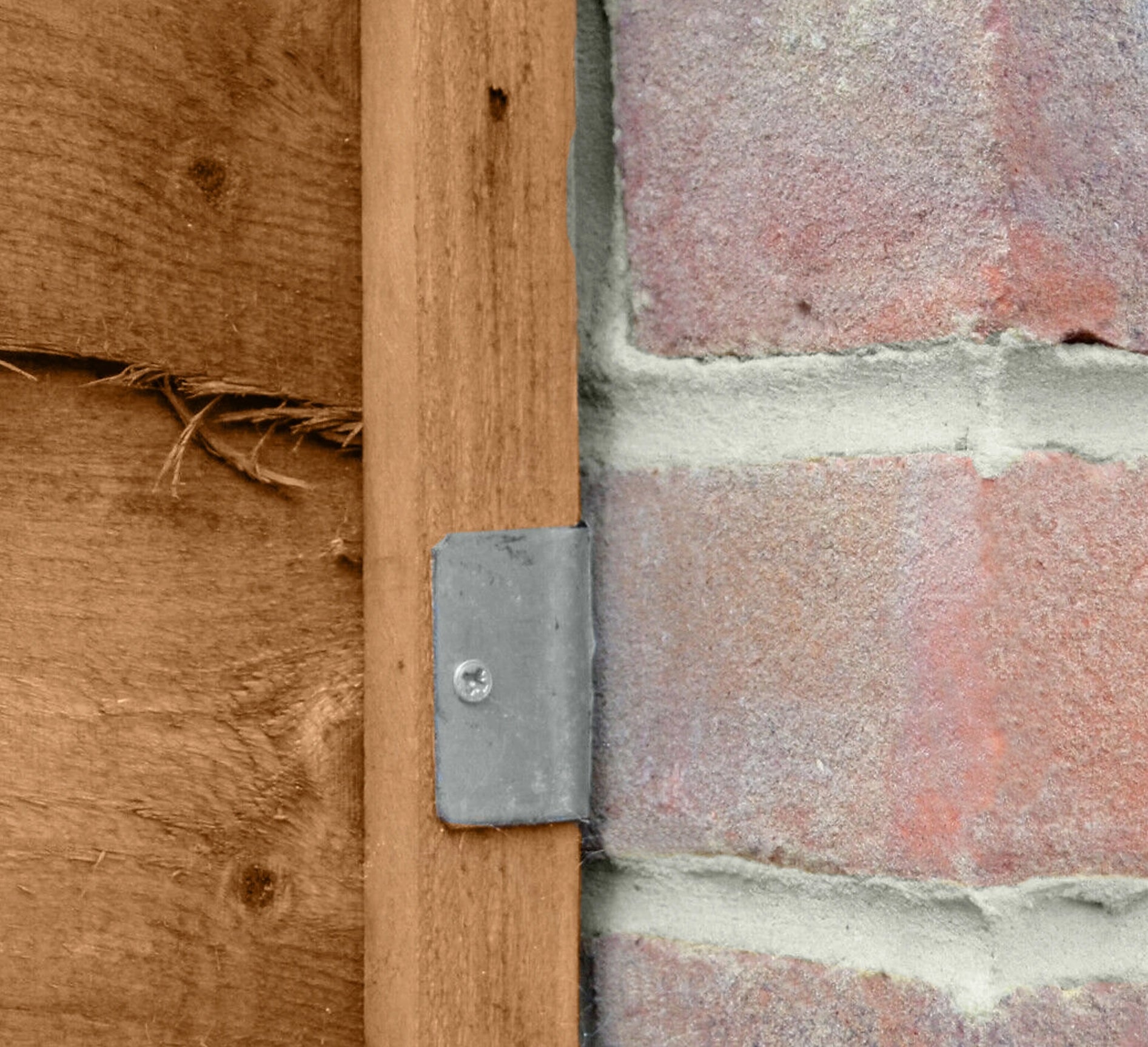 Fence Panel Clips/Trellis Clip Bracket - 50mm - Galvanised - Pack of 10 ...