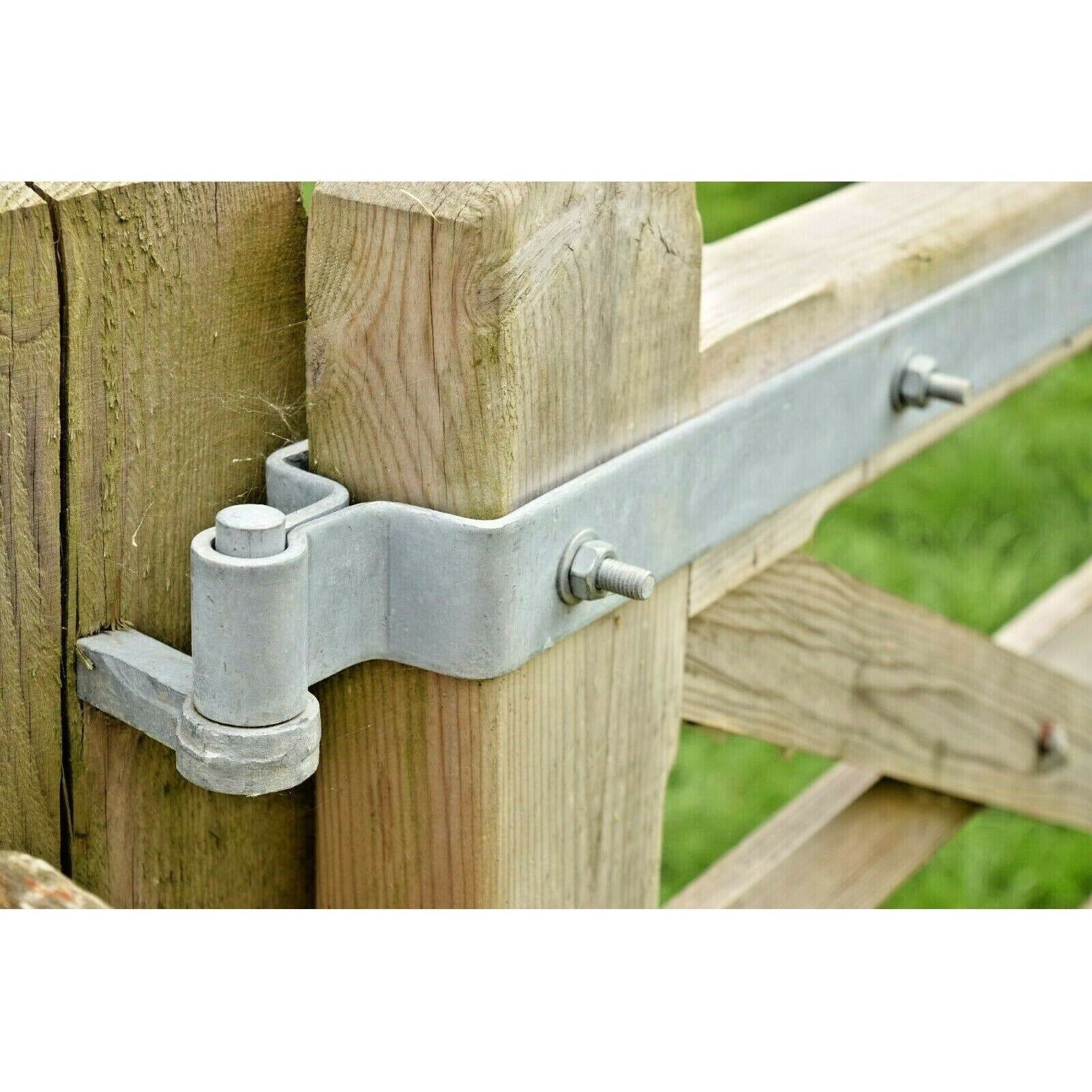 Field Gate Hinge Set Double Strap Hook to Drive and Bolt Pattern Hot ...